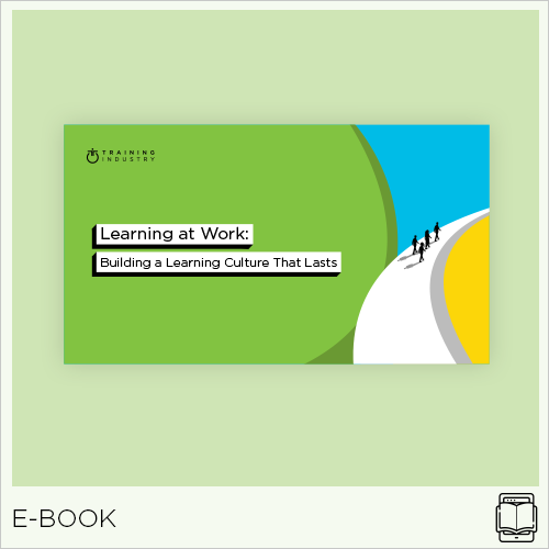 Learning at Work: Building a Learning Culture That Lasts – Training ...